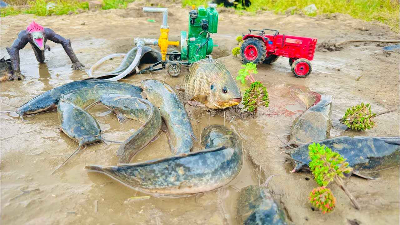 Catch fish using mini water pump | fishing exciting | diy tractor ...