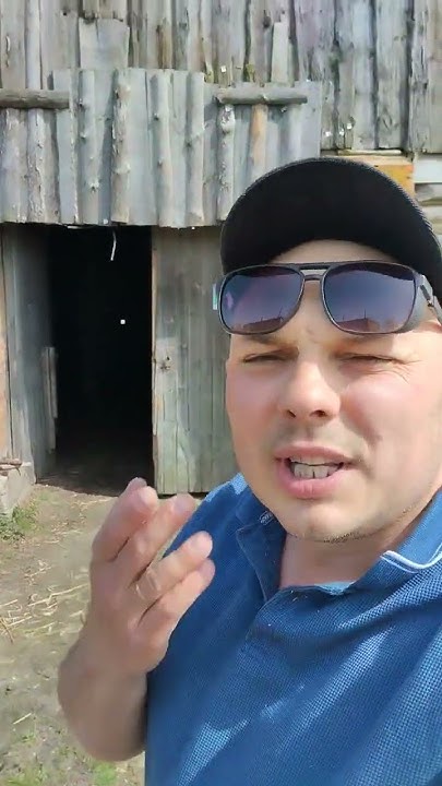 щенки Белоруской сторожевой в дар Youtube