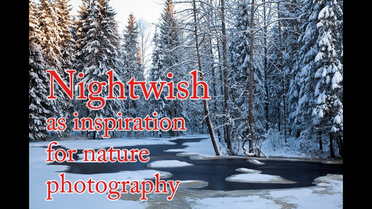 Inspiration Photography Nature
