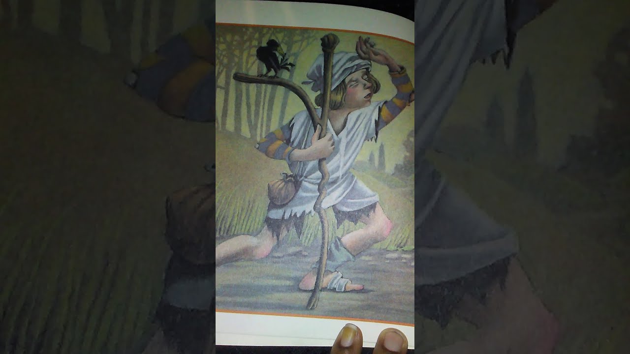 Stone Soup by Ann McGovern & illustrated by Winslow Pinney Pels - YouTube