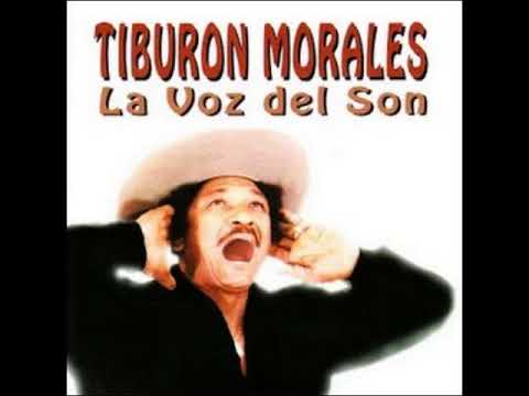 TIBURON MORALES  _  JUANA BAILA