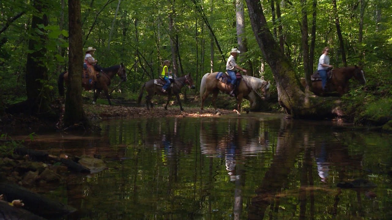 Wild SideTV-Buffalo River Trail Ride - YouTube