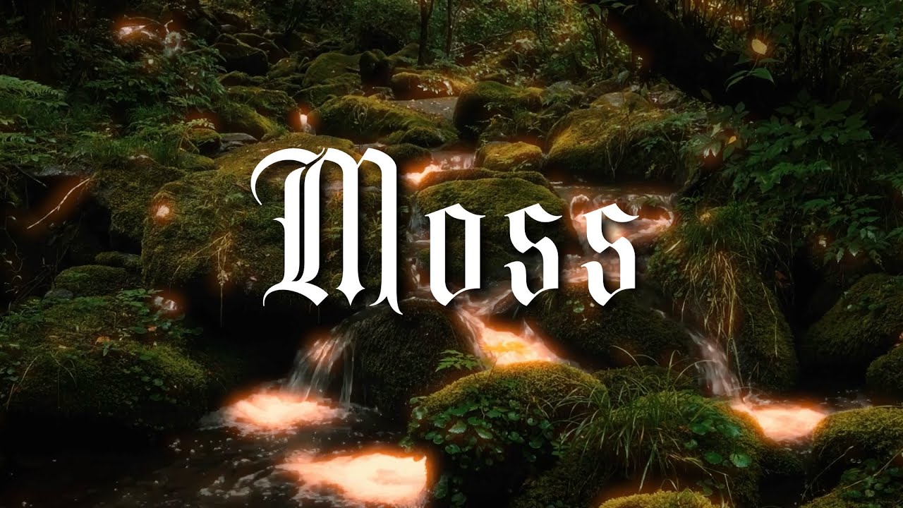 Eleri Ward - Moss (Official Lyric Video) - YouTube