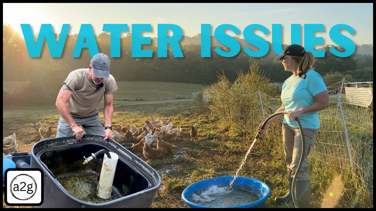 WATER: The Secret to Successful Farming - YouTube