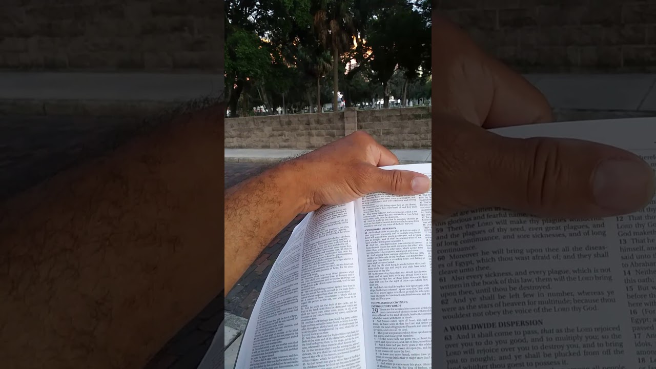 The Curses Deuteronomy 28 KJV - YouTube