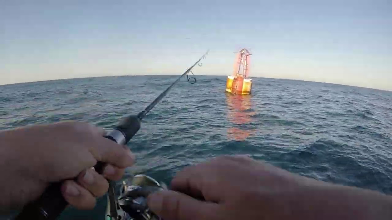 Catching Shad offshore- Durban Backline - YouTube