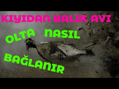 YENİ BAŞLAYANLAR... TEK KÖSTEKLİ DEV TAKIM NASIL YAPILIR?
