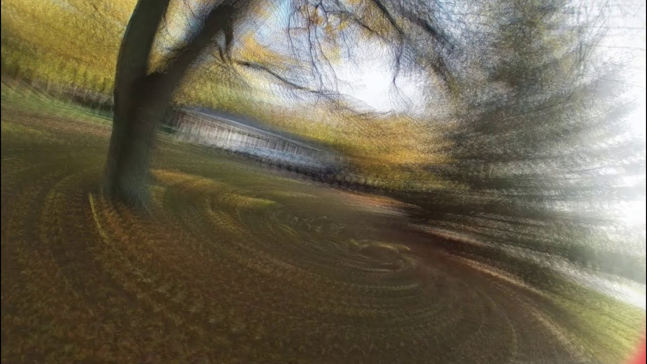 FPV Nightmare - Phantom 2.5" with the Insta360 Go - YouTube