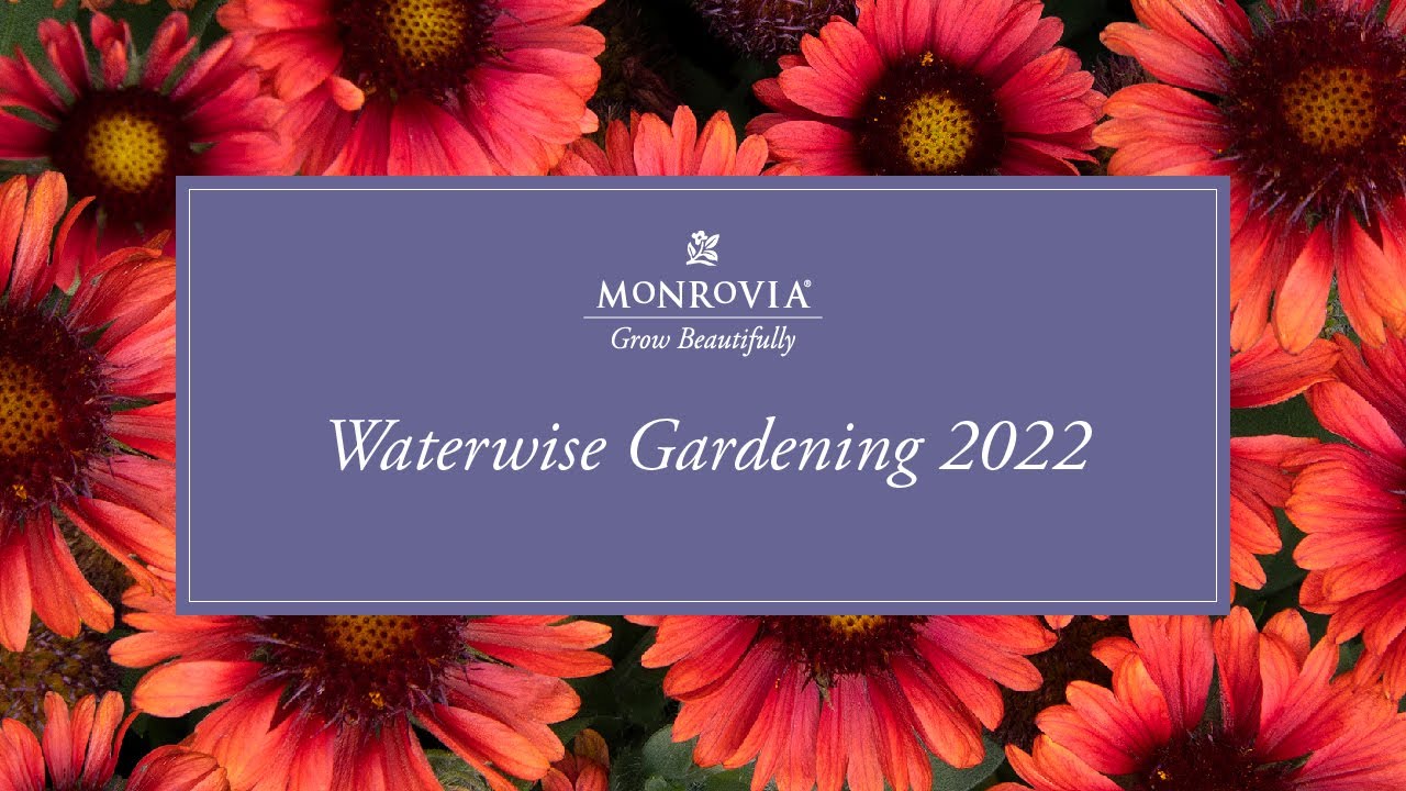 Monrovia | Waterwise Gardening - YouTube
