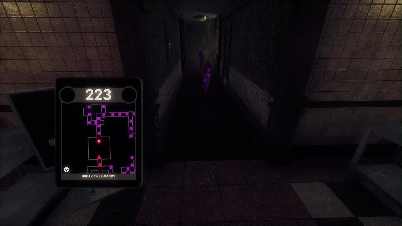 Monkeys chasing another monkey - YouTube