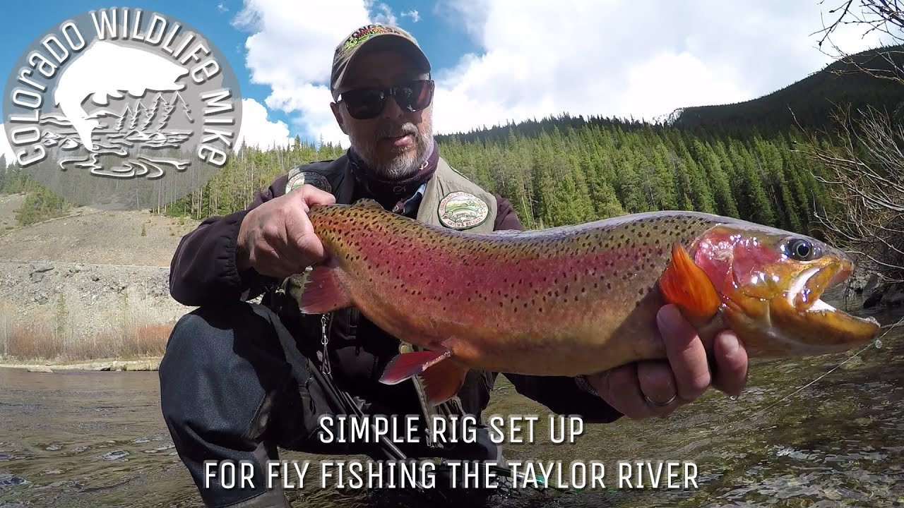 Simple Rig Set Up for Fly Fishing the Taylor River - YouTube
