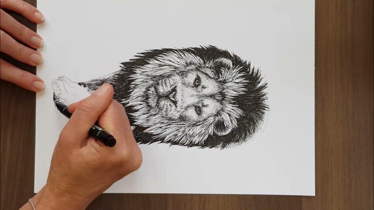 Lion Timelapse Drawing Youtube
