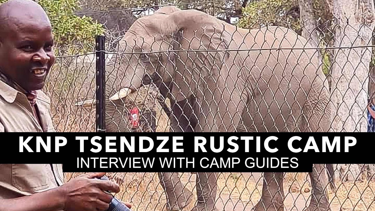 Kruger National Park: Interview with the Tsendze Rustic Camp Guides ...