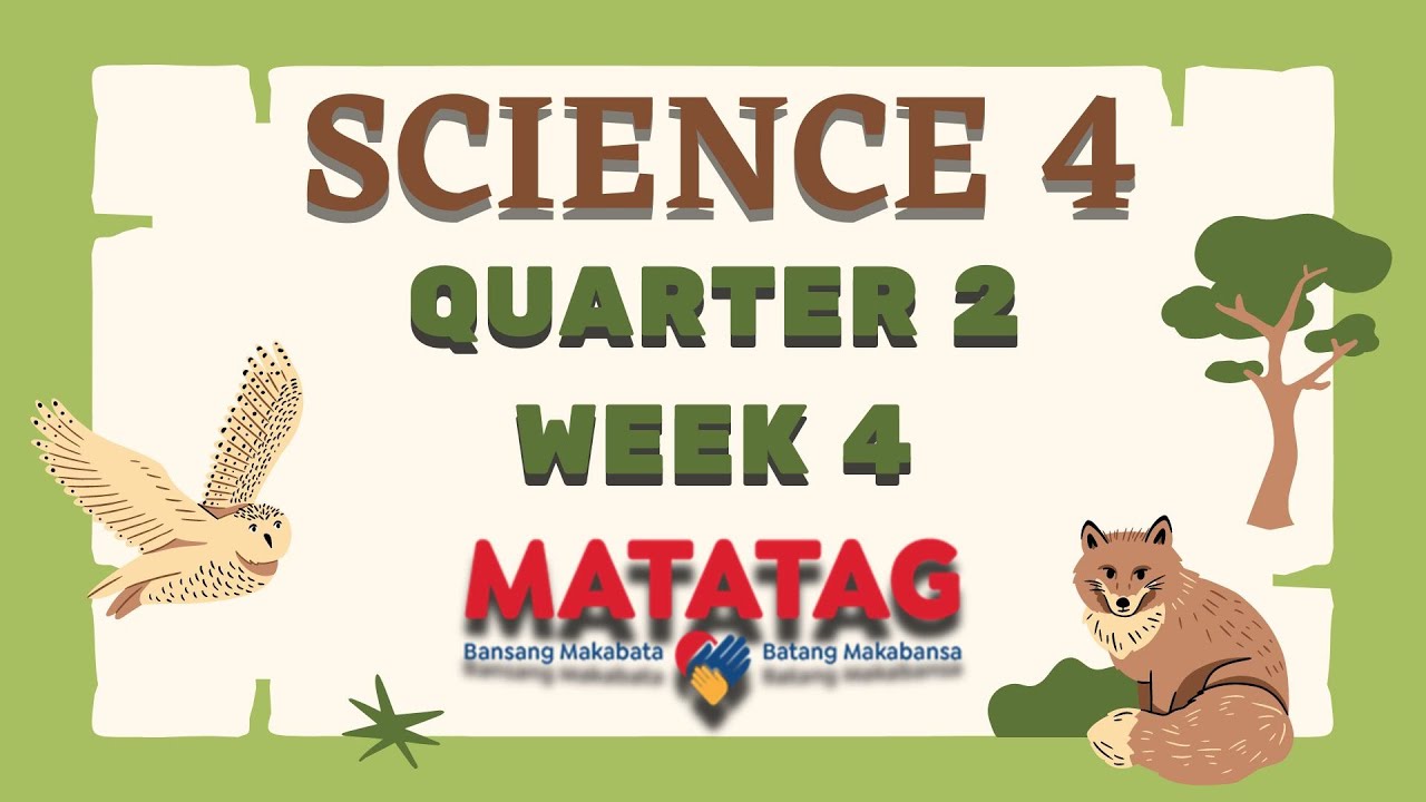 GRADE 4 MATATAG SCIENCE// QUARTER 2 WEEK 4 - YouTube