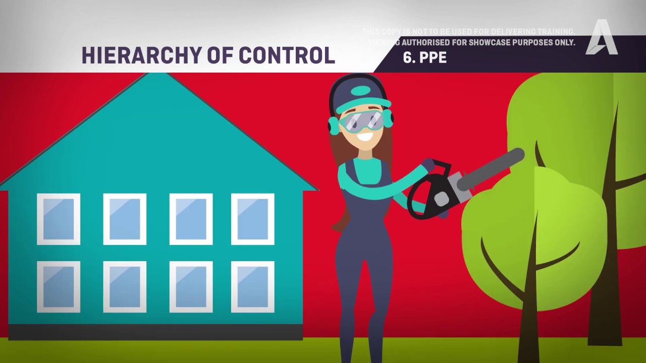 BBD Animation: Hierarchy of Control - YouTube