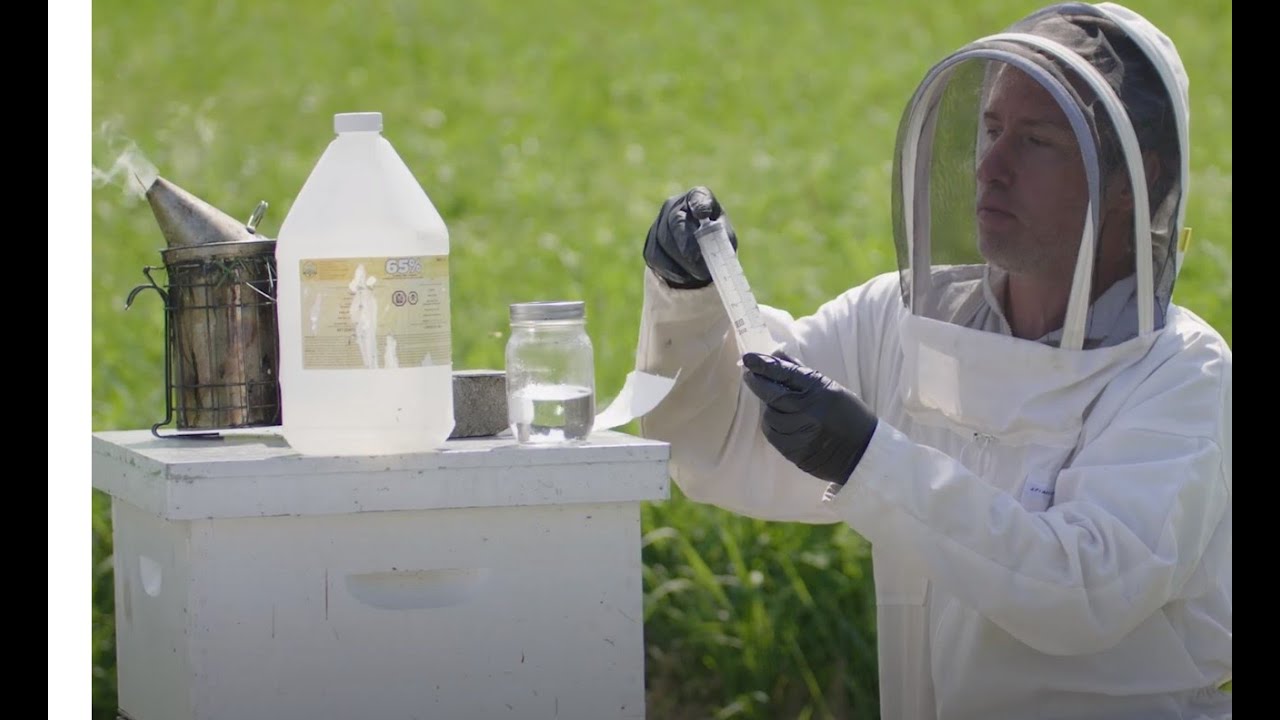 VARROA_Traitement Flash et dosage de l'acide formique - YouTube
