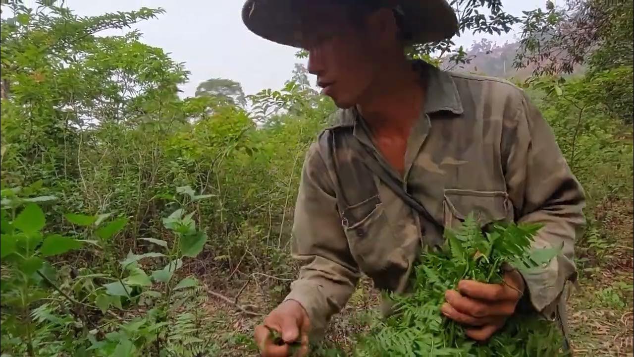 de Kaus suab mus ua noj - YouTube