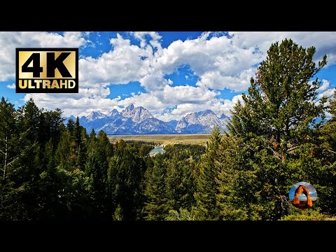 Calming Ambience and Nature Sounds | 8 HOURS | 4K - YouTube