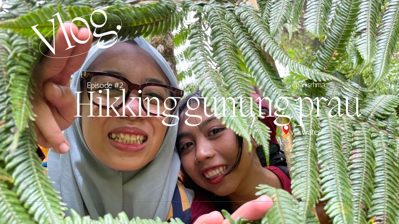 PERTAMA KALI MENDAKI GUNUNG PRAU | 🌼bunga daisy nya cakepp pollll 🌸 ...