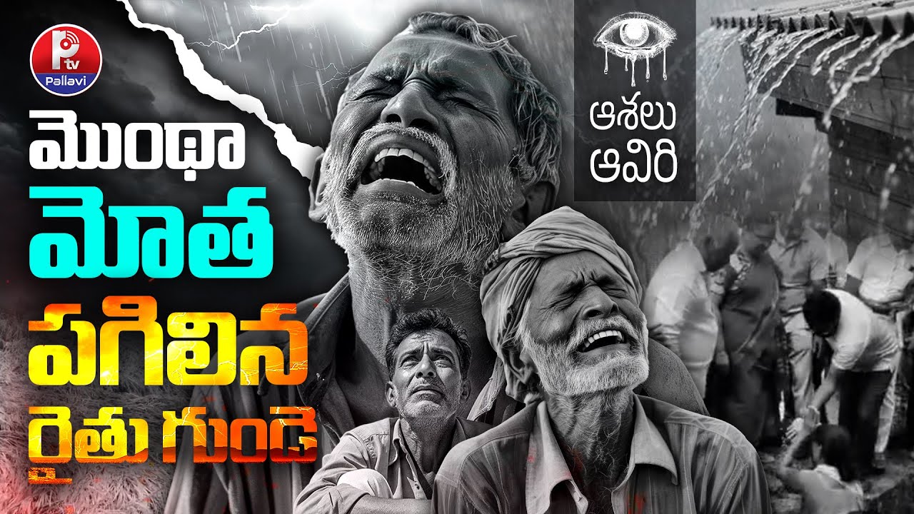 మొంథా మోత.. పగిలిన రైతు గుండె | Farmers Cry Over Crop Damage | Cyclone ...