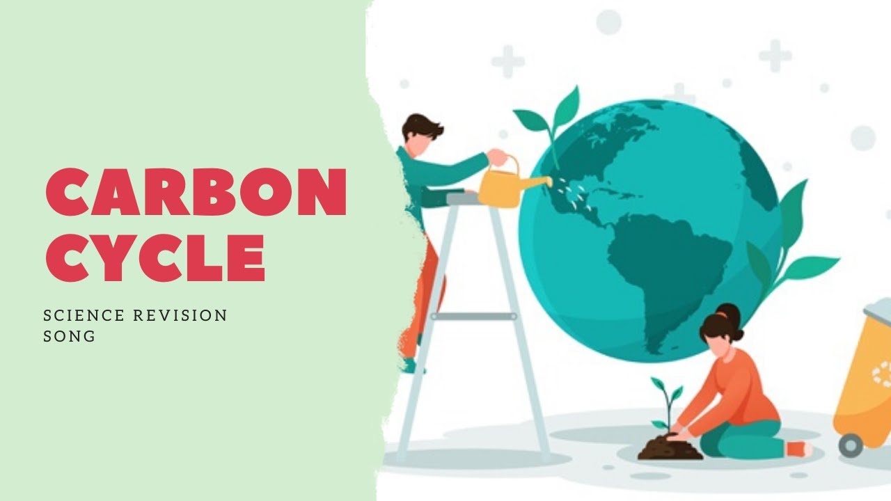 Carbon Cycle Science Revision Song - YouTube