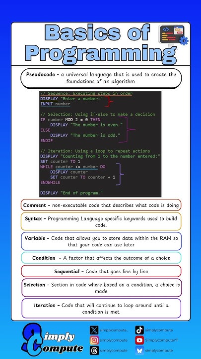 Programming Basics: Pseudocode, Variables & Control Flow Explained # ...