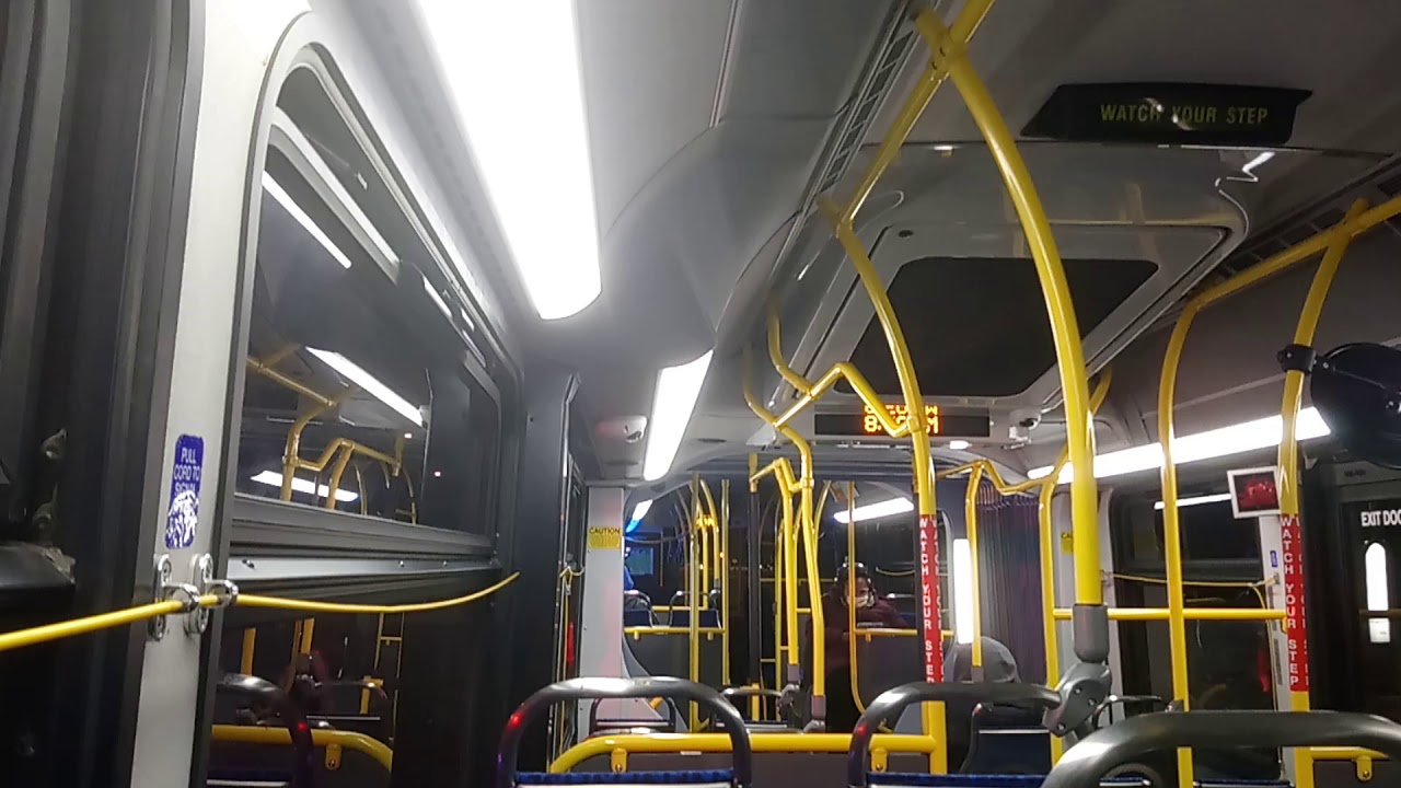 ETS Bus 2019/20 New Flyer XD60 #4960 On 9 Southgate - YouTube