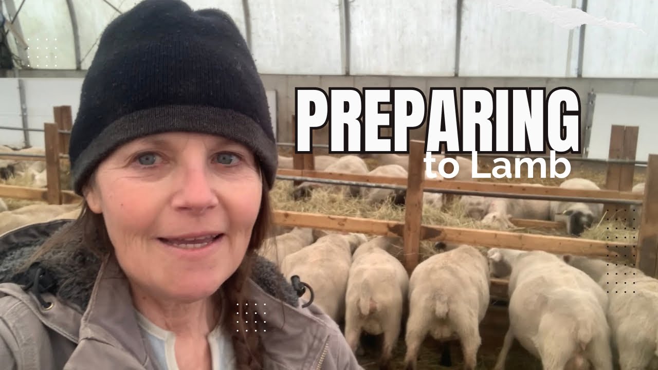 May Lambing Group inside Coverall. Lambing Jugs and Warming Box Get Set ...
