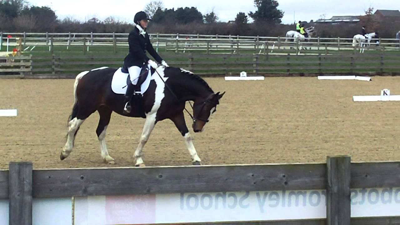 British Dressage Novice 24 Billie Jean - YouTube
