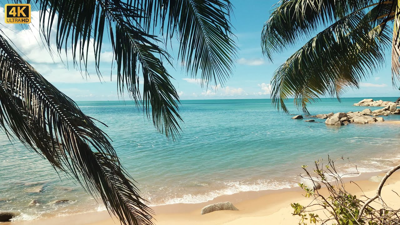 Tropical Beach Vibes - Relaxing Sounds of Gentle Waves and Calming Sea ...