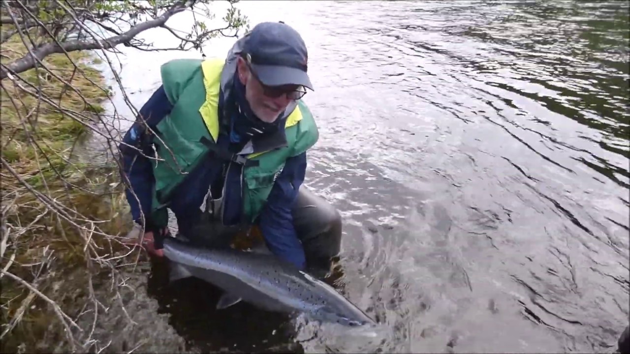 Alta June 2019 - YouTube