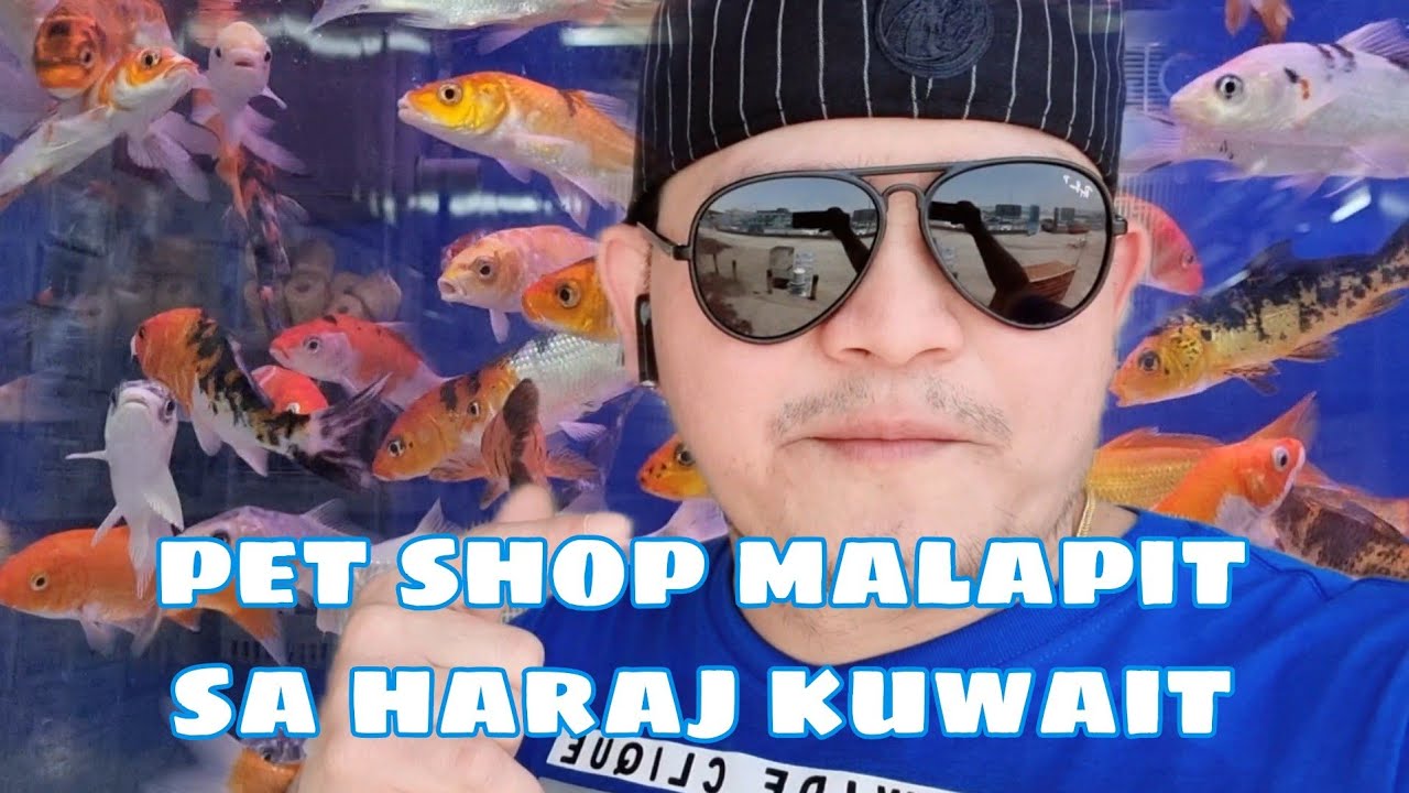 petshop malapit sa haraj kuwait - YouTube