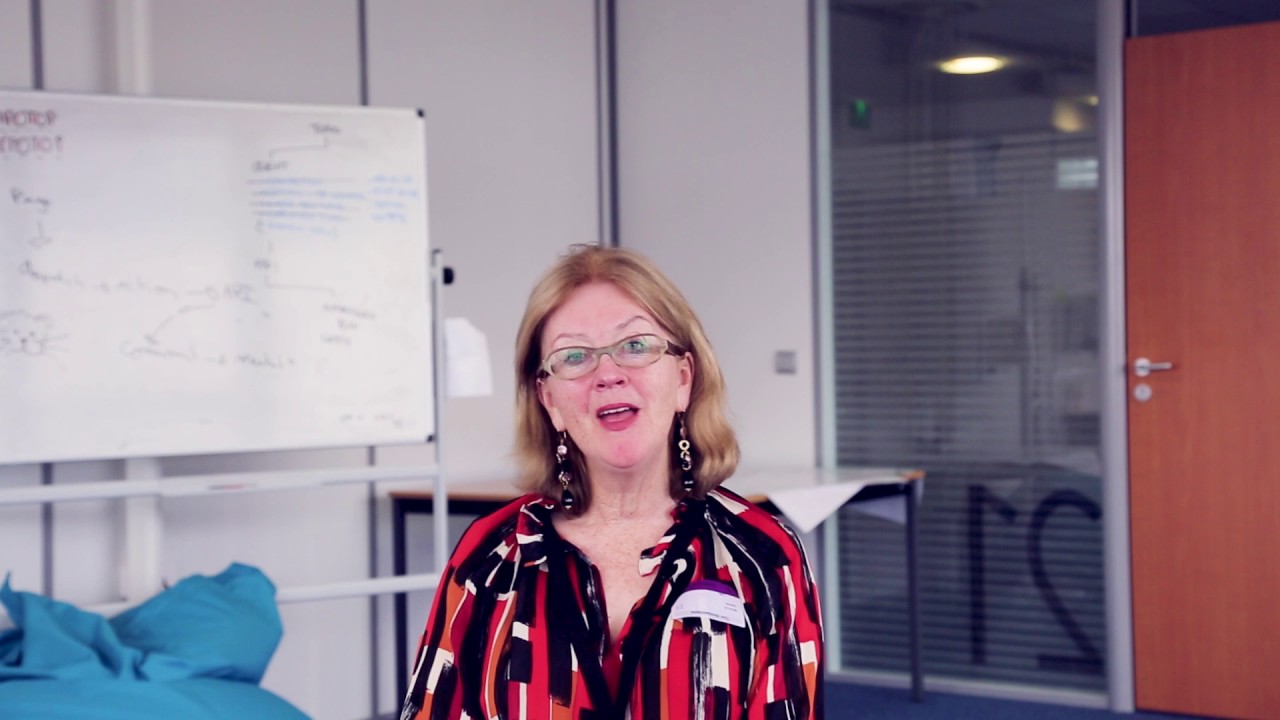 Grace Neville @Shaping our Major Transition workshop - YouTube