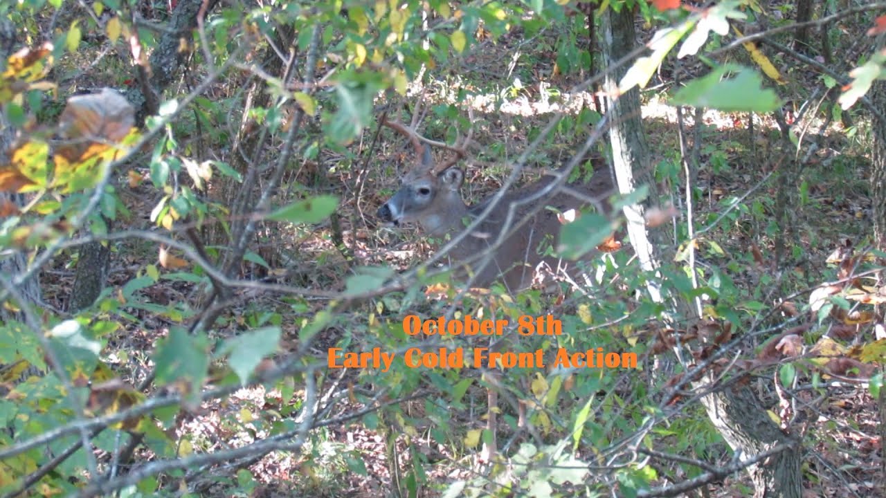 First Cold Front of 2022 has the Deer Moving. 2022 Archery Season ...