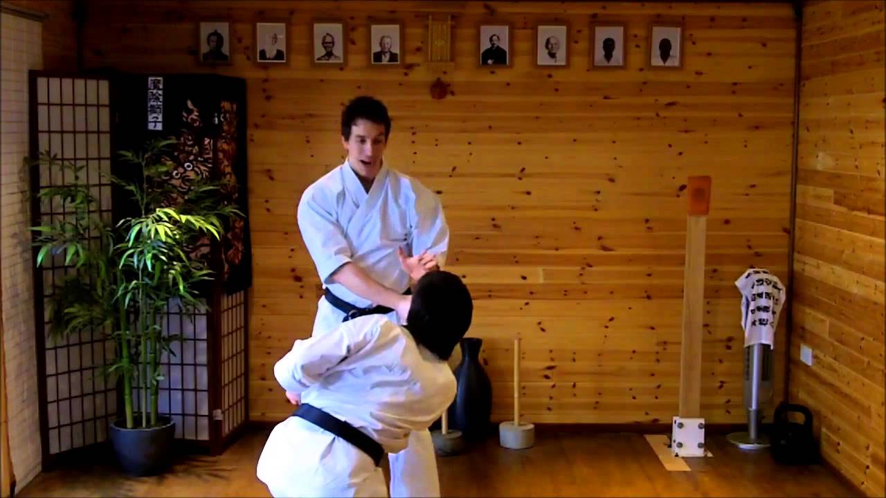 Kata Bunkai Video Tutorial 10 - Pinan (Heian) Shodan & Nidan Kata - YouTube