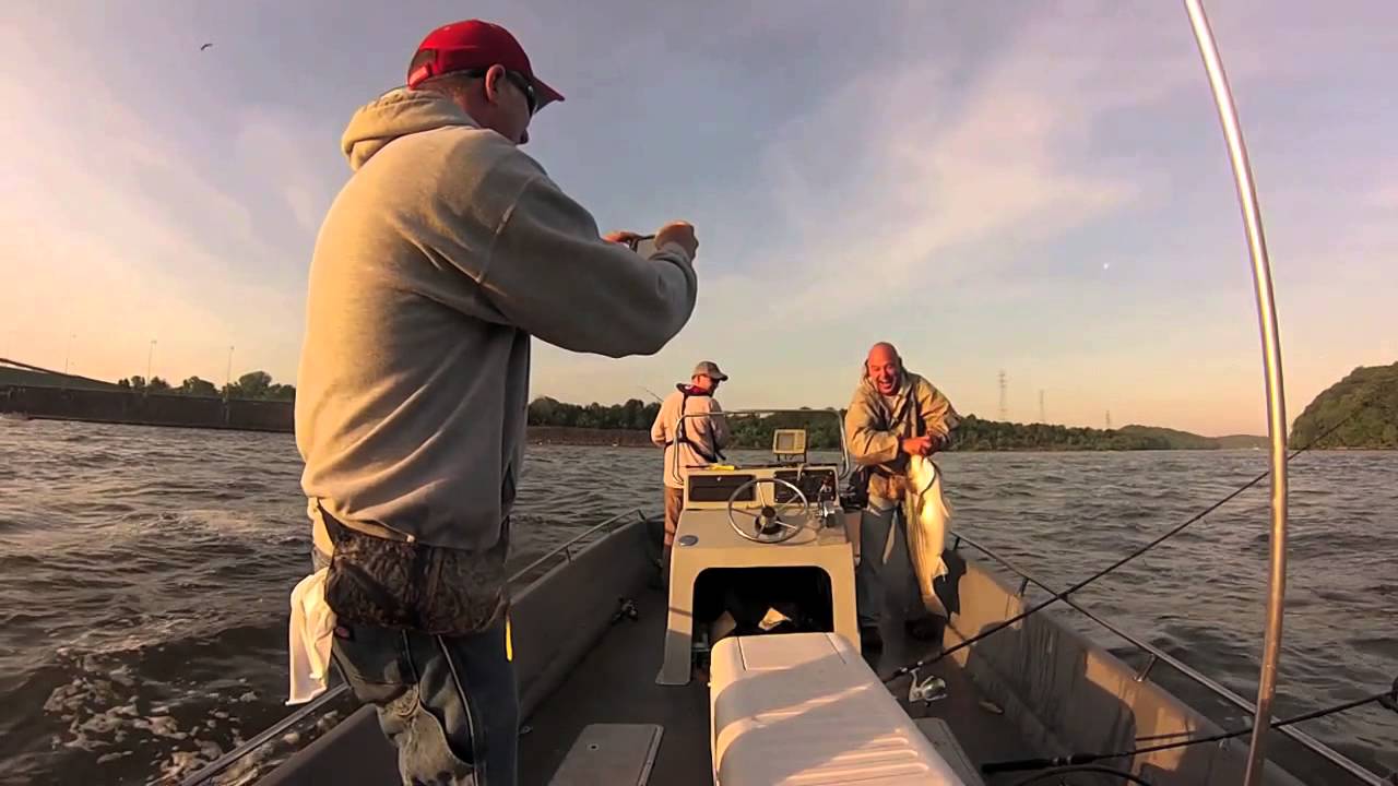 Striper Fishing Tailwaters of Ft Loudon 5 27 2013 - YouTube