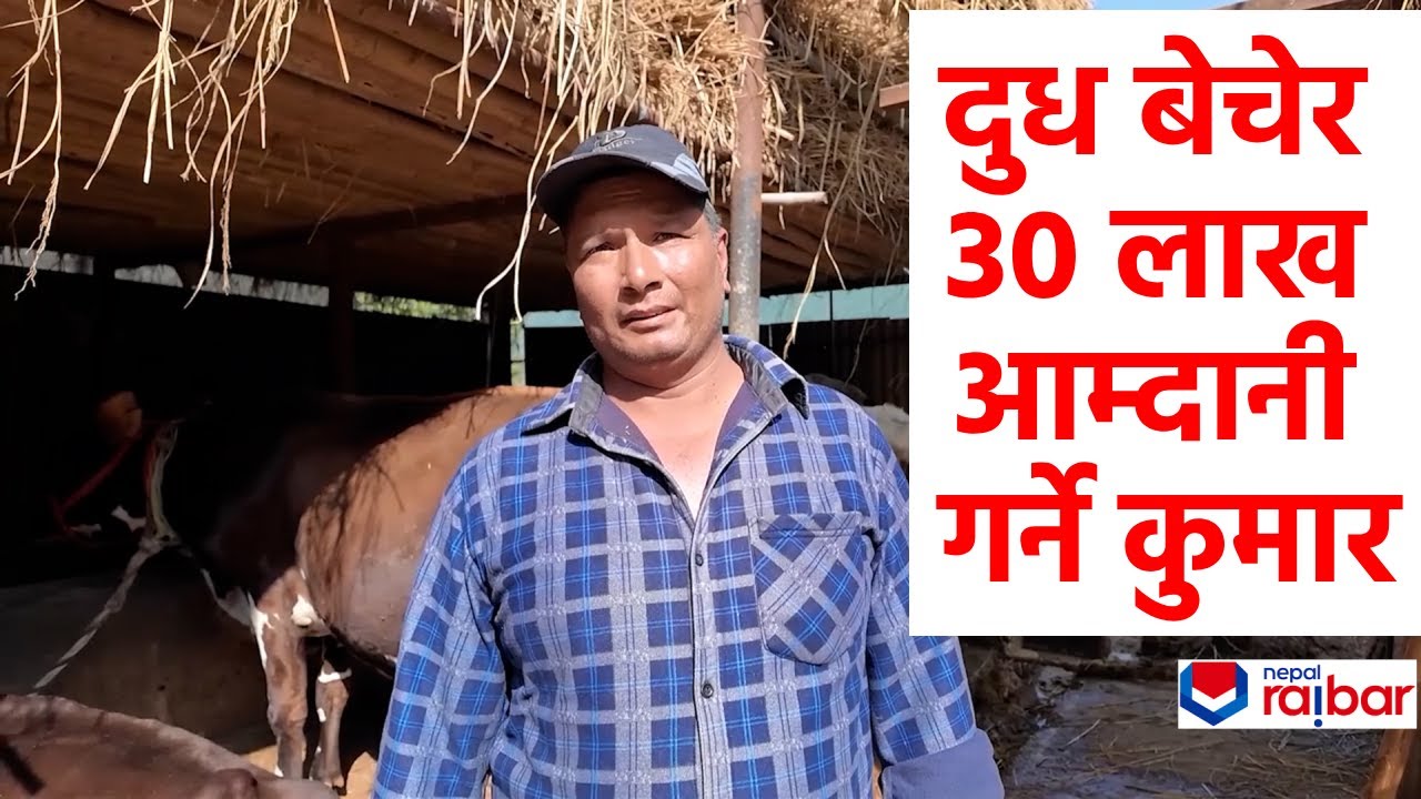 Kumar Basnet दुध बेचेर वार्षिक ३० लाख आम्दानी गर्दै कुमार बस्नेत - YouTube