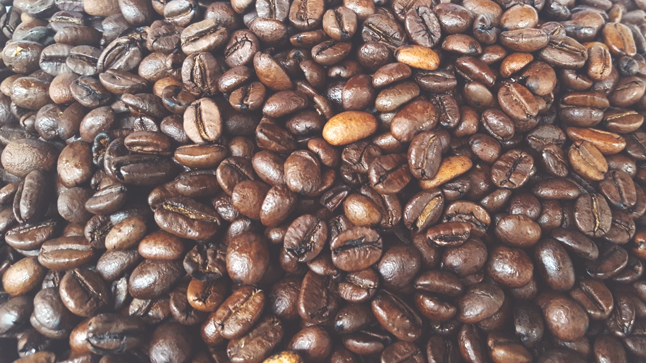 Taste Test | Ignatius Coffee, Motown Review - YouTube