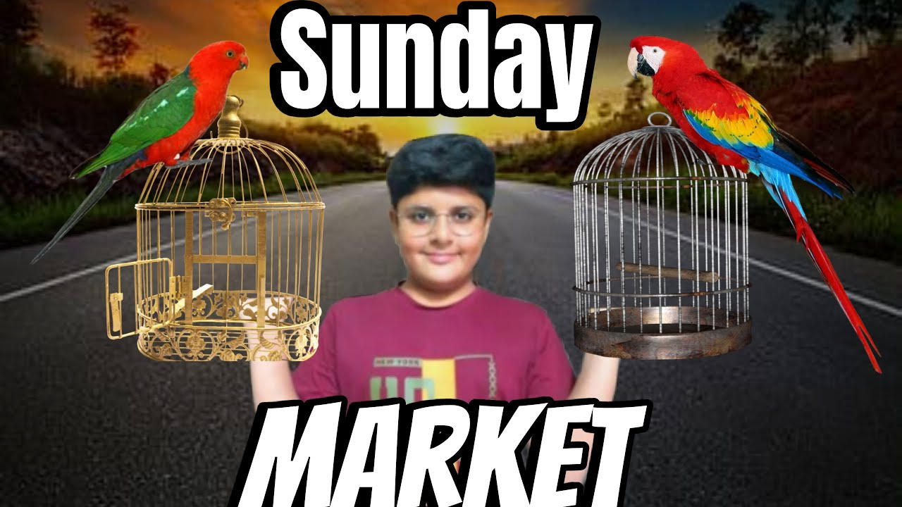 Visit to Sunday market...🐦🐦 - YouTube
