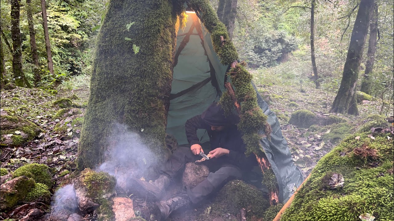 2 days of camping in the rainforest without a tent - YouTube