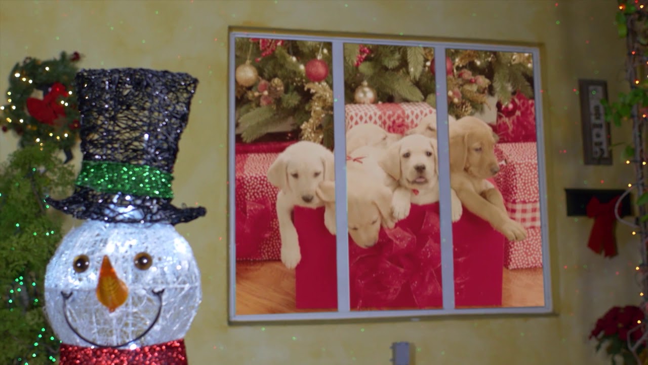 Window Wonderland - YouTube