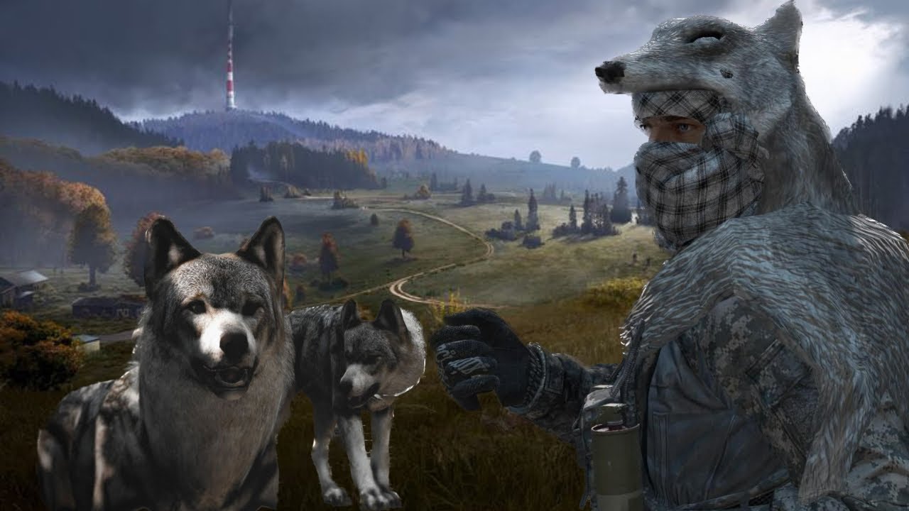 Dayz - When you earn that alpha wolf badge - YouTube