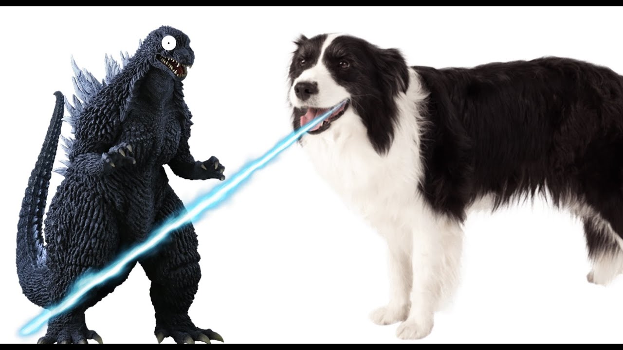 Godzilla vs Dogzilla - YouTube