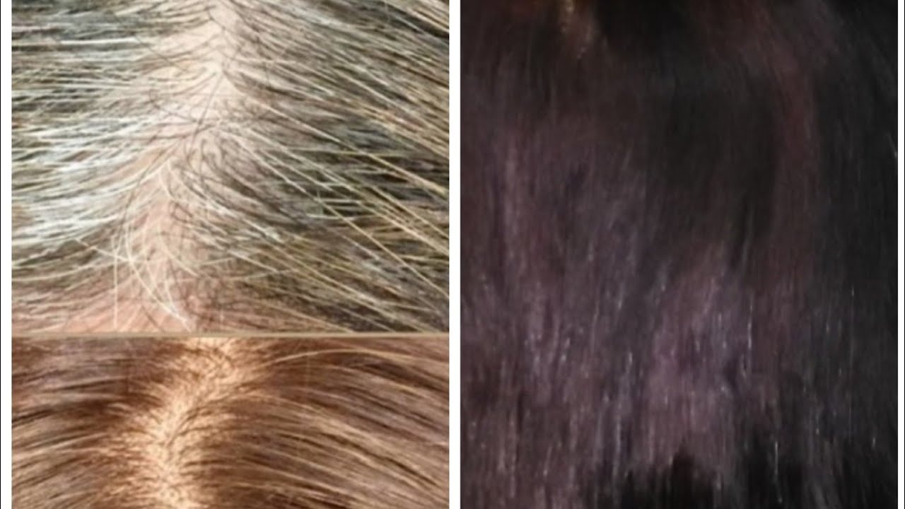 how to cover your white hair with henna dye 100% natural hair pack for ...