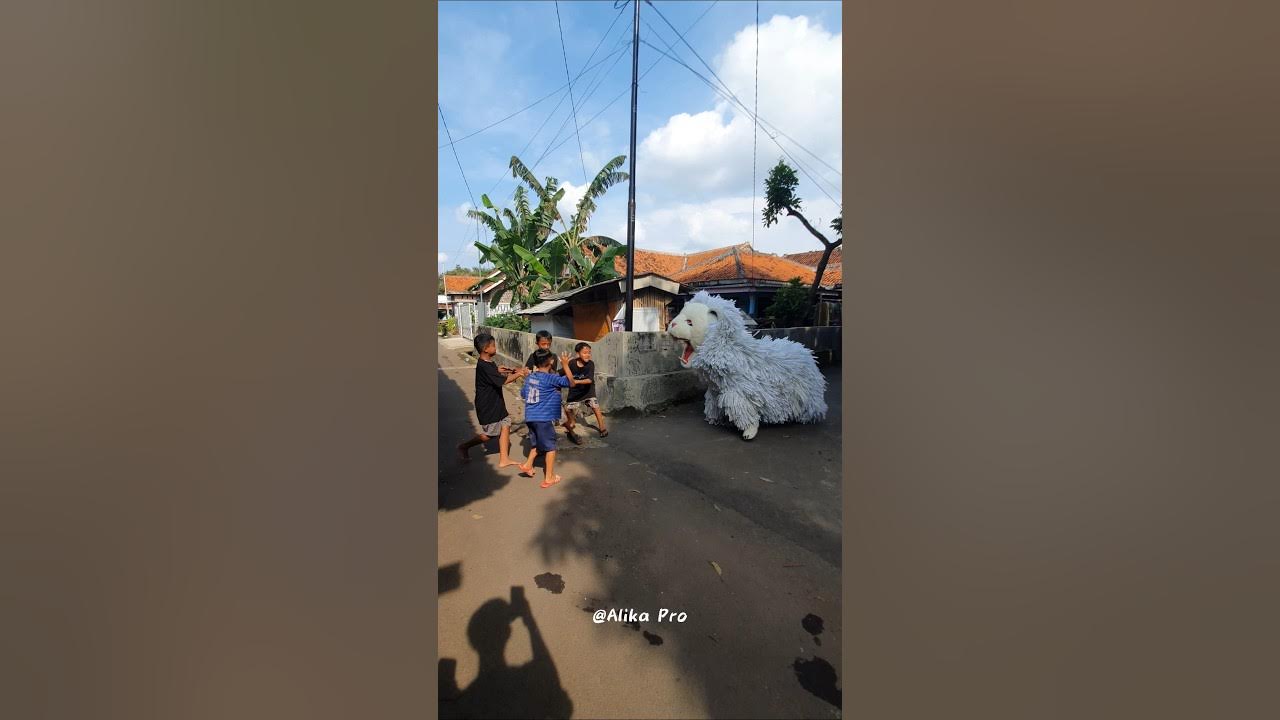 bocil ff kaget ada can macanan - YouTube