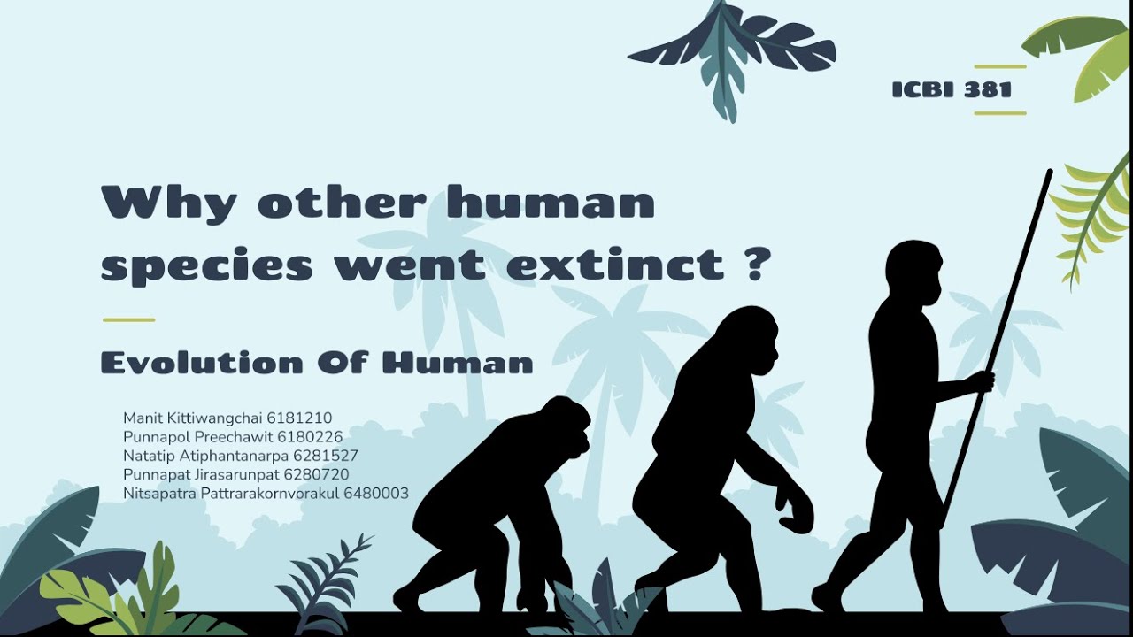 Why other human species went extinct? - YouTube