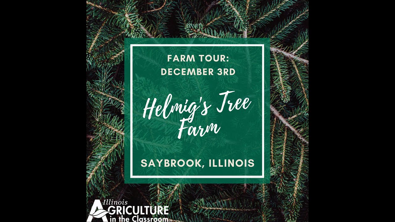 Virtual Farm Field Trip to Helmig's Christmas Tree Farm - YouTube