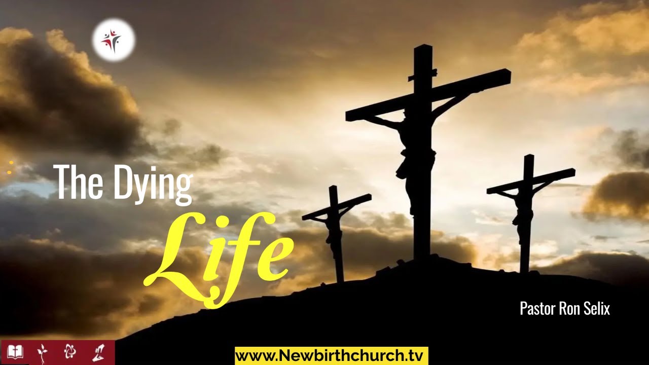 The Dying Life - YouTube