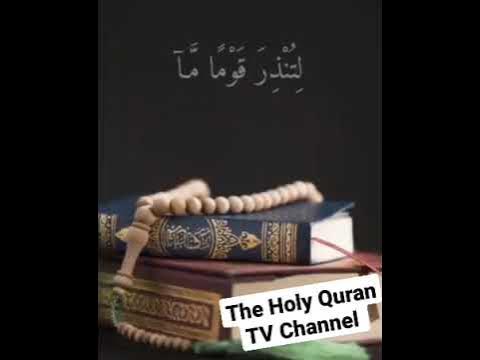 Surah Yaseen | The Holy Quran TV Channel - YouTube