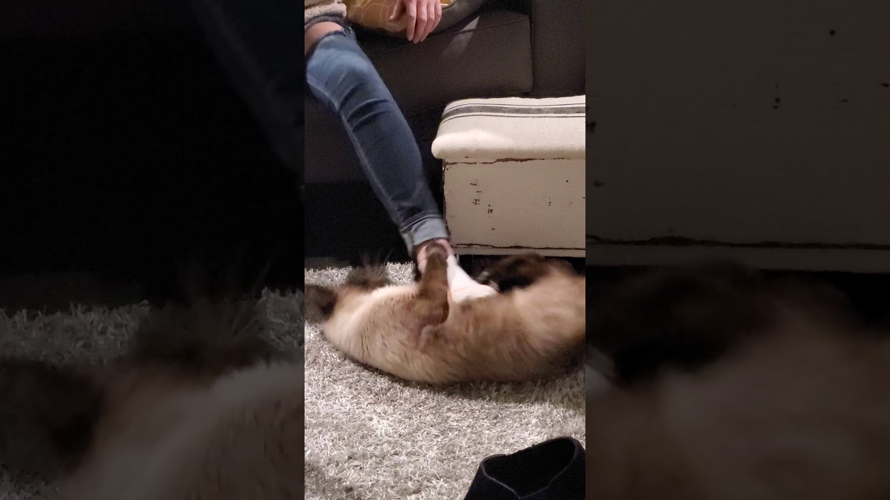 Simon bites Isabella repeatedly before she leaves him alone! - YouTube